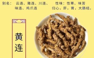 黄连的功效与作用_黄连的副作用有哪些