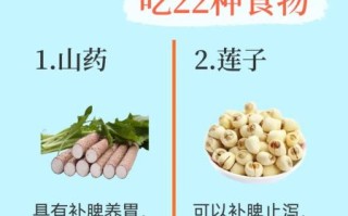 脾胃虚弱湿气重怎么调理_湿气重吃什么食物好