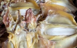 墨鱼干多少钱一斤_墨鱼干价格行情 墨鱼干多少钱一斤_墨鱼干价格行情