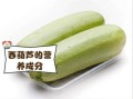 煮的吃西葫芦致癌吗_西葫芦高温烹饪真相