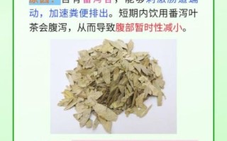 喝了一个月番泻叶瘦了_番泻叶减肥副作用
