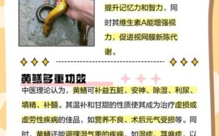 黄鳝的营养价值及功效与作用_吃黄鳝有什么好处