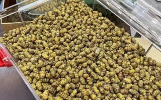 铁皮石斛多少钱一斤_铁皮石斛价格为什么差距大