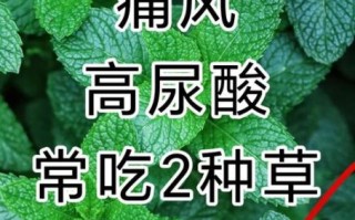 降尿酸最厉害的草药_痛风最怕的三种中药