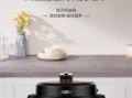 电压力锅哪个牌子好_十大品牌排行榜