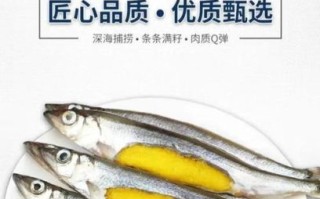 多春鱼为什么全是籽_多春鱼籽哪里来的