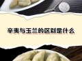 辛夷花和玉兰花的区别_如何区分辛夷与玉兰