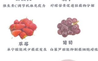 防癌抗癌食物有哪些_怎么吃才有效