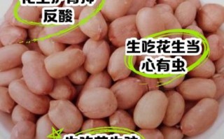 一天吃几粒生花生最好_生花生一天吃多少粒不上火