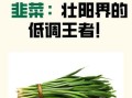 韭菜壮阳吗_韭菜补肾是真的吗