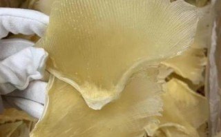 鱼翅的营养价值及功效与作用_鱼翅吃了有什么好处