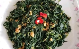 麻叶菜是什么_麻叶菜怎么做好吃