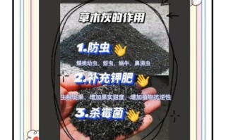 草木灰是什么肥料_草木灰怎么用效果最好