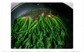 菠菜需要焯水吗_菠菜焯水多久