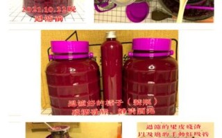 葡萄酒二次发酵正常图_如何判断是否成功