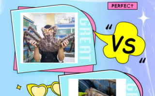 阿拉斯加蟹和帝王蟹的区别_哪个更好吃