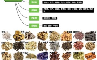 大料图片带名称大全_香料有哪些常见种类