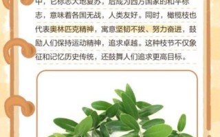 橄榄枝的象征意义是什么_橄榄枝代表什么