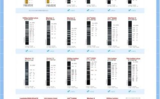 琼脂糖凝胶怎么配_琼脂糖凝胶浓度选择