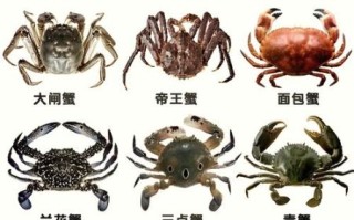 螃蟹一次最多吃几个_吃几只合适