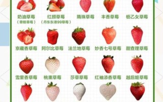 草莓的功效与作用_草莓吃多了会上火吗
