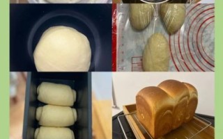 面包机做酸奶失败原因_为什么酸奶不凝固