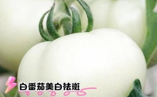 西红柿可以美白吗_西红柿美白效果怎么样