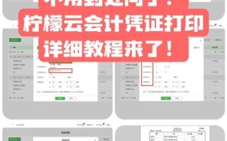 柠檬云财税怎么样_柠檬云财税好用吗