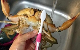 螃蟹怎么杀_螃蟹怎么清洗