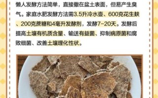 花生麸发酵不臭方法_如何避免臭味