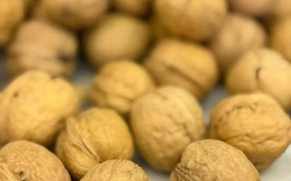 核桃仁怎么炒_核桃仁炒多久才香脆