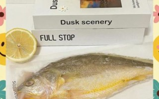 冰冻黄鱼怎么做好吃_冰冻黄鱼的家常做法