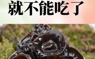 女人吃木耳的好处_女人吃木耳能减肥吗