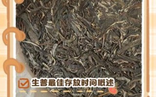 生普洱存放几年最好喝_生普最佳品饮期