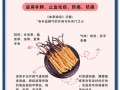 冬虫夏草怎么吃效果最好_冬虫夏草最佳吃法