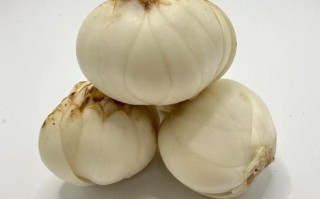 新鲜百合怎么做好吃_新鲜百合的家常做法