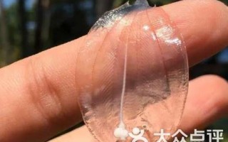 比目鱼工作室怎么样_比目鱼工作室靠谱吗