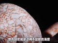 鸡心螺的天敌有哪些_鸡心螺最怕什么动物