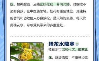 喝桂花的危害有多可怕_长期饮用会中毒吗