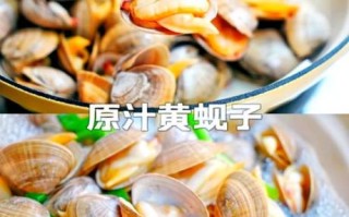 辣炒黄蚬子怎么炒才好吃_黄蚬子去沙最快的方法
