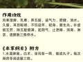 泽泻的功效与作用_泽泻用量多少克合适