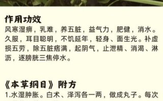 泽泻的功效与作用_泽泻用量多少克合适
