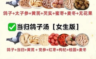 鸽子汤怎么炖好喝_鸽子汤用什么配料最补
