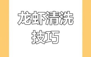 龙虾怎么清洗_龙虾清洗小妙招