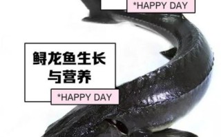 鲟鱼头能吃吗_鲟鱼头为什么不能吃