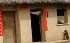 小白菜泪汪汪全集12哪里看_小白菜泪汪汪全集12剧情解析