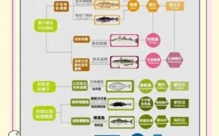 鳕鱼图片高清_如何挑选新鲜鳕鱼