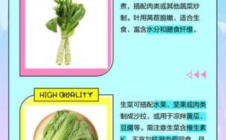 生菜和莴苣有什么区别_哪个更营养