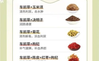 车前草什么人不能吃_车前草禁忌人群有哪些