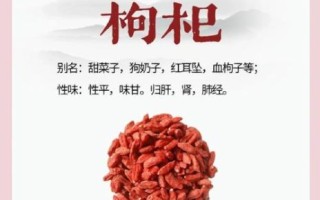 杞子有什么功效与作用_杞子怎么吃效果最好